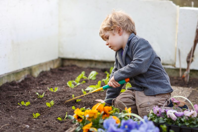Best Outdoor Activities for Toddlers
