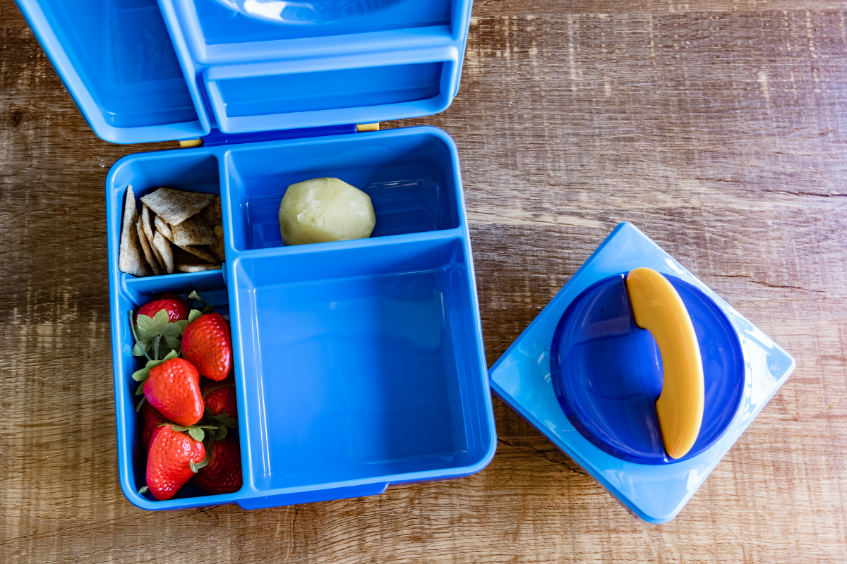 Best Toddler & Kids Lunch Boxes 2020 | Anna in the House