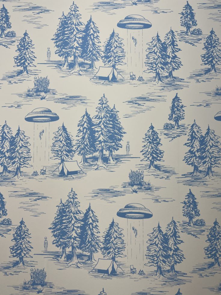 Toile Wallpapers & Decorating Ideas