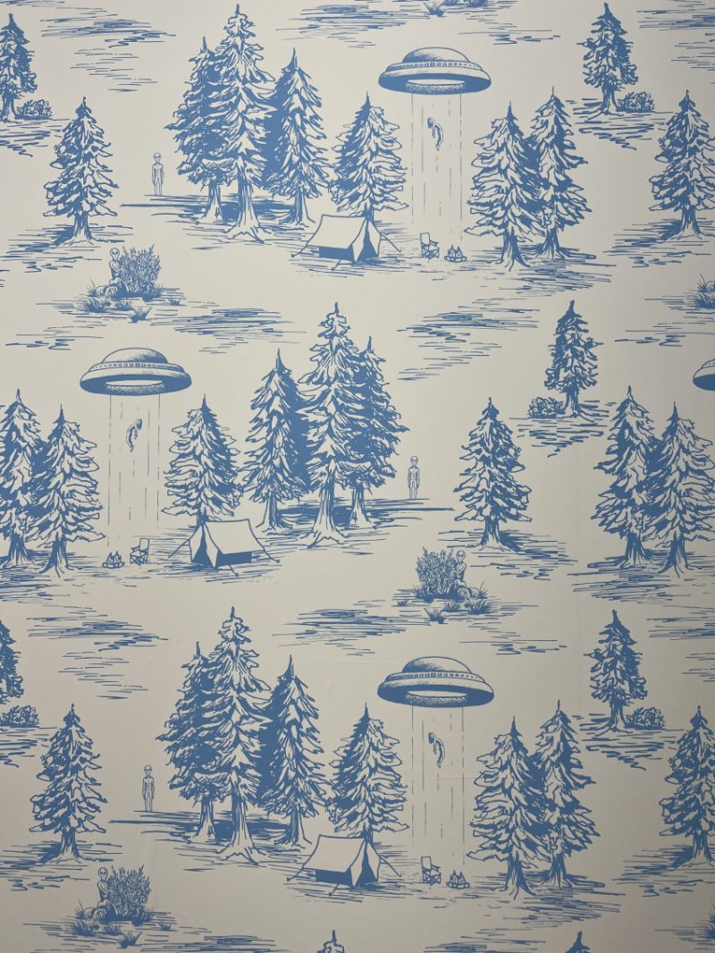 Toile Wallpapers & Decorating Ideas