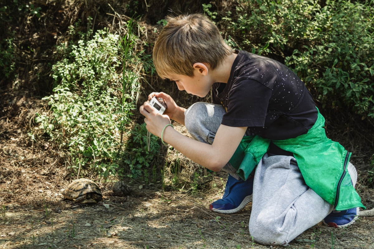 What is Wildschooling: Pros & Cons