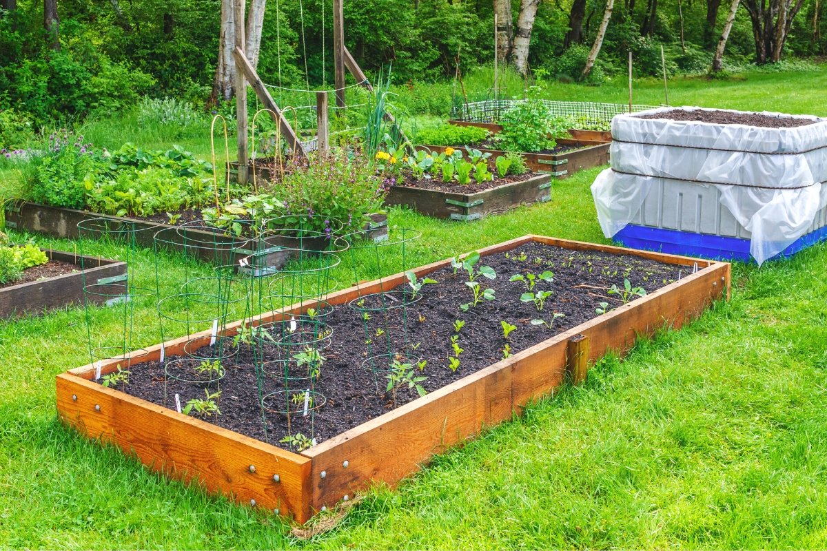 20 Life Skills Every Homesteader Should Learn