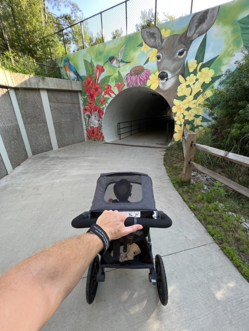 Guava Roam Stroller Review: Best Jogging Stroller?