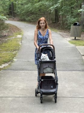 Strolee Stroller Review: Practical Detachable Tandem Option