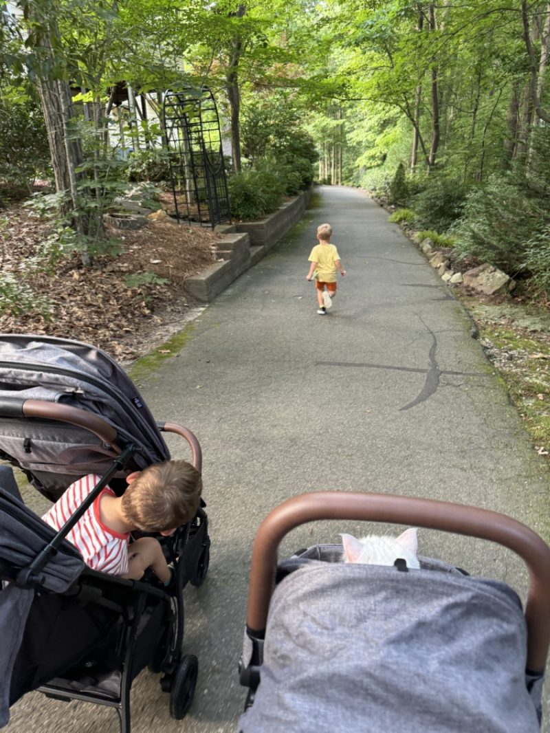 Strolee Stroller Review: Practical Detachable Tandem Option