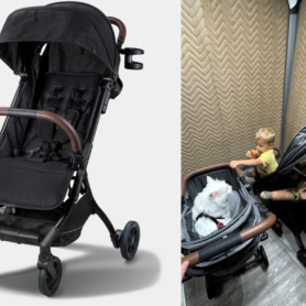 Guava Roam Stroller Review: Best Jogging Stroller?